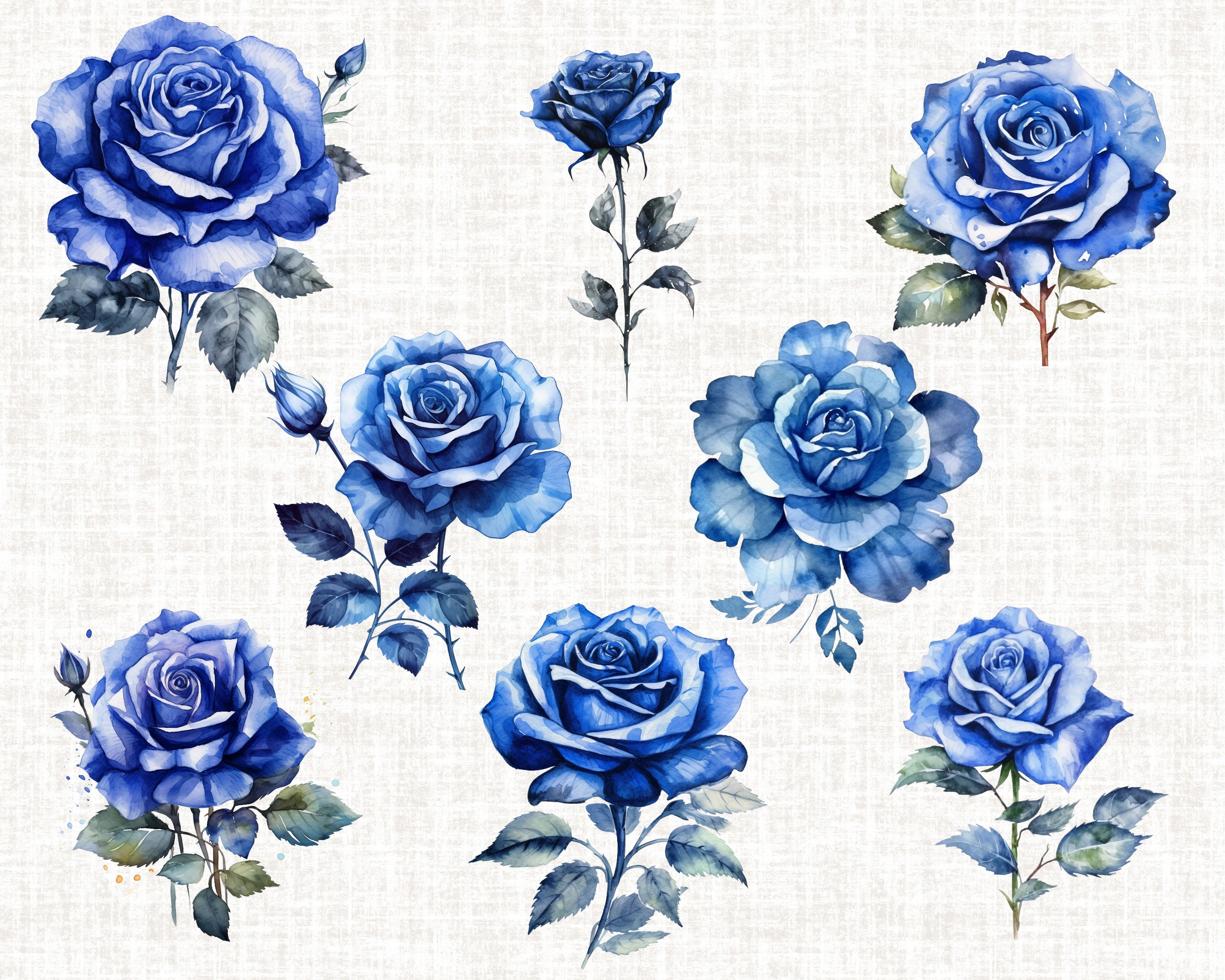 Blue Roses Clipart Watercolor Blue Roses PNG Blue Flowers - Etsy