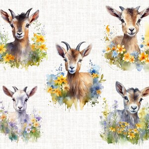 Baby Goat Clipart, Watercolor Floral Goats in the Meadow, Spring Baby ...