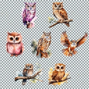 Watercolor Owl Clipart Bundle Woodland Animals Graphics Forest Animal ...