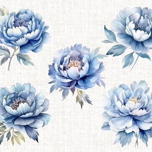 Dusty Blue Peonies Clipart, Dusty Blue Flowers PNG, Watercolor Blue ...