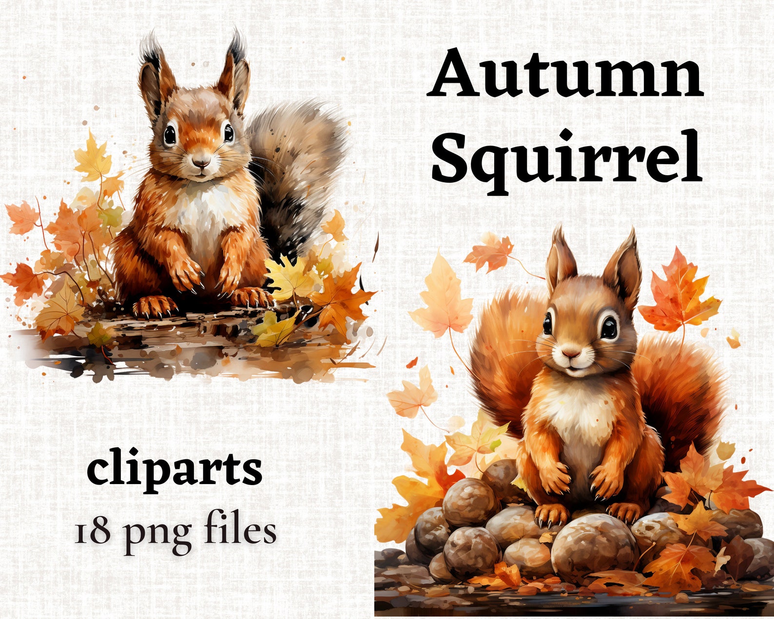 Autumn Squirrel Clipart Cute Squirrel Images Watercolor - Etsy