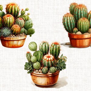 Potted Cacti Clipart Bundle Watercolor Cactus Clipart Cactus - Etsy