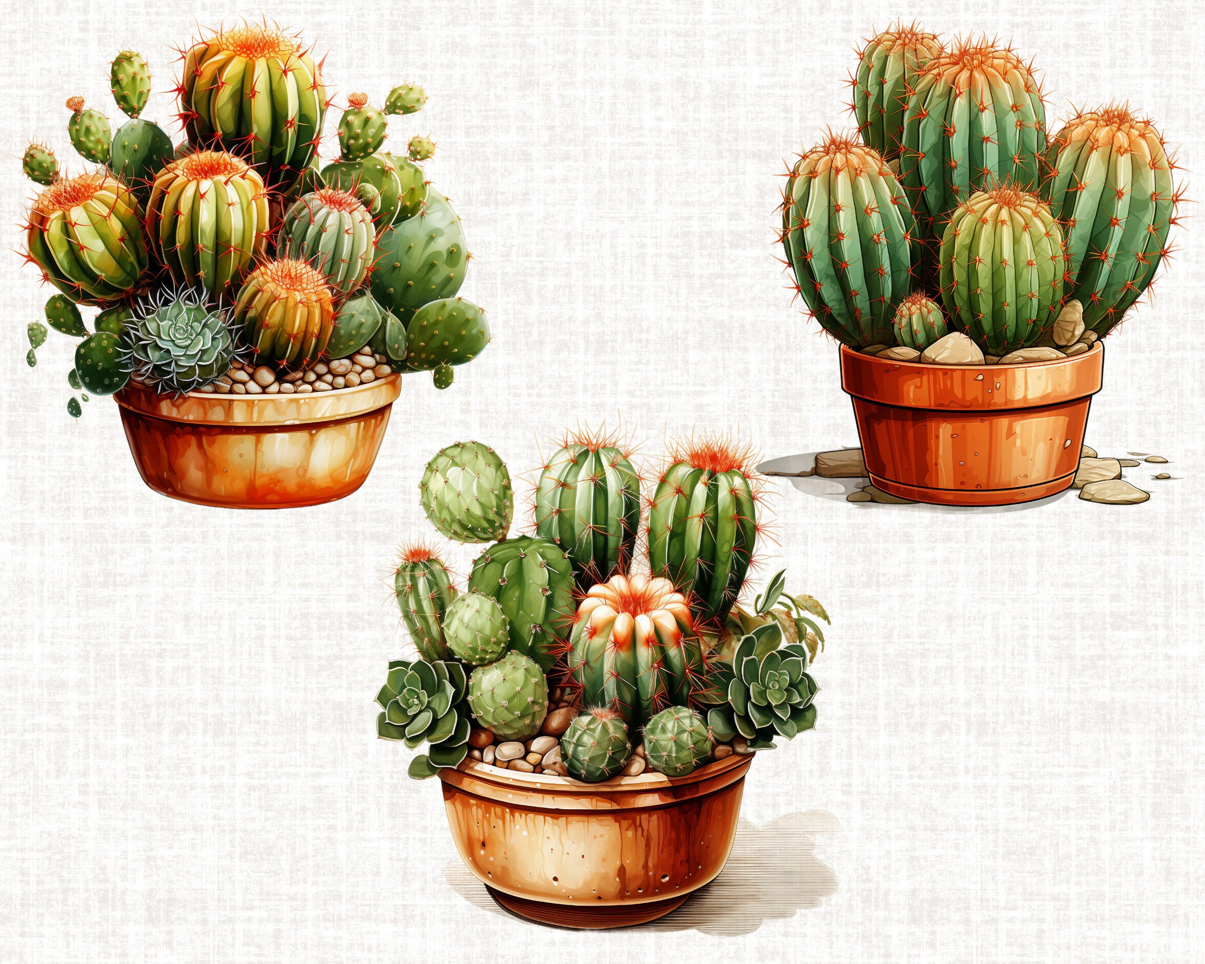 Potted Cacti Clipart Bundle Watercolor Cactus Clipart Cactus - Etsy