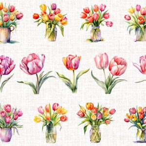 Tulip Clipart, Watercolor Tulips PNG, Floral PNG, Summer Flowers ...