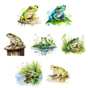 Watercolor Frogs Clipart Bundle Woodland Animals Graphics Forest Animal ...