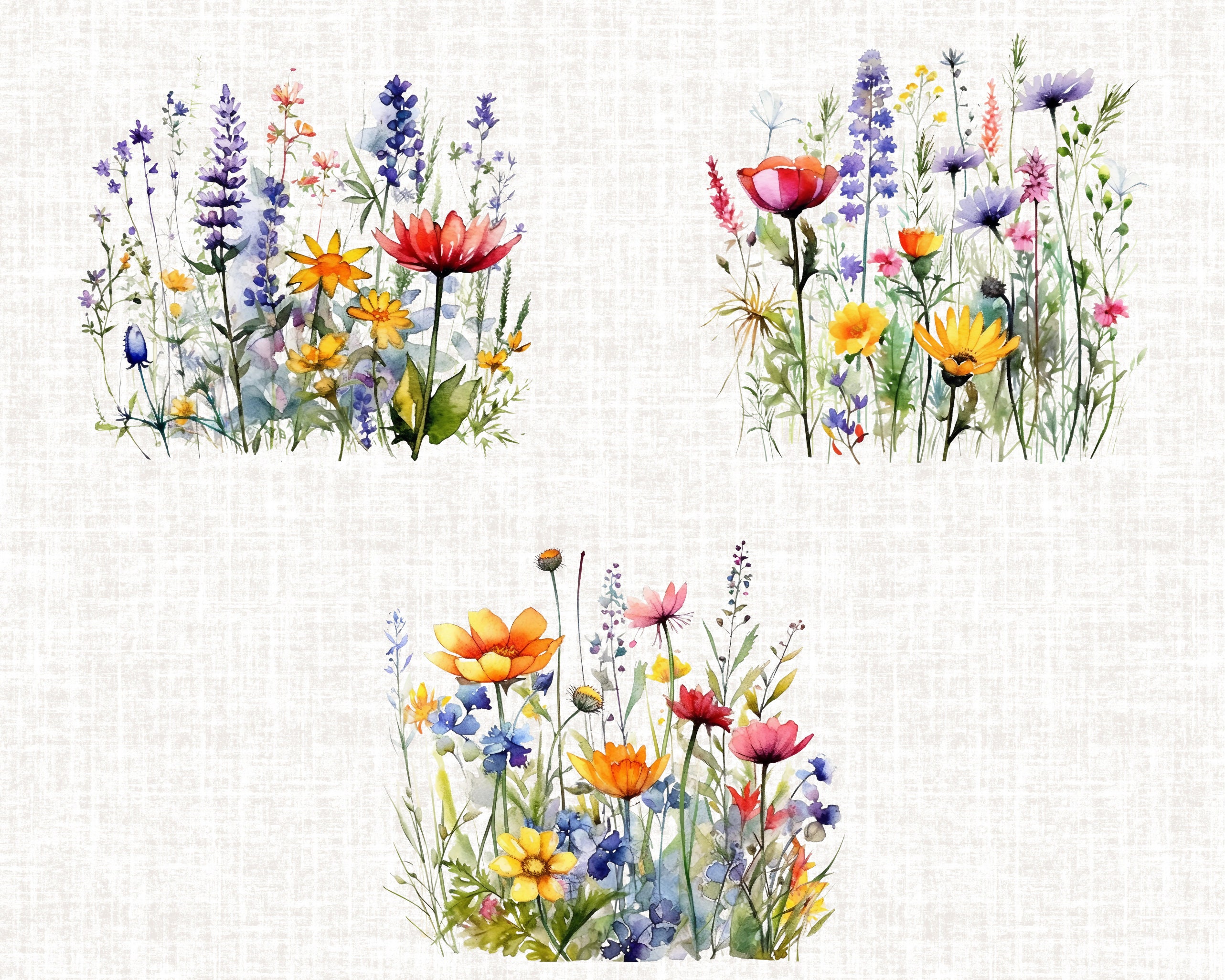 Watercolor Meadow Flowers Clipart Spring Flowers PNG - Etsy
