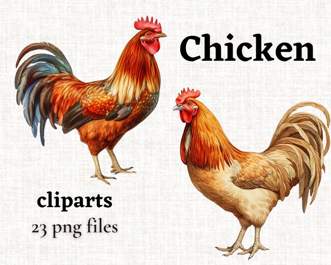 Chicken Clipart Bundle, Farm Animals PNG, Chick Graphics, Rooster ...