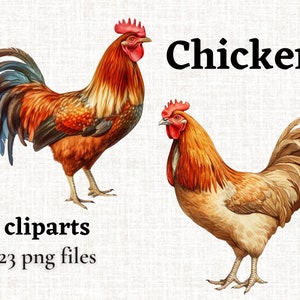 Chicken Clipart Bundle, Farm Animals PNG, Chick Graphics, Rooster ...