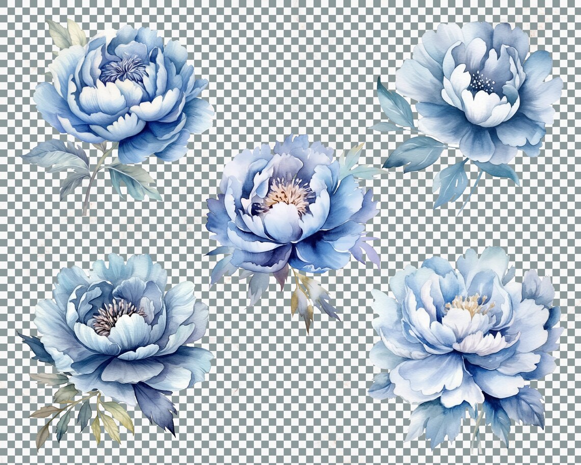 Dusty Blue Peonies Clipart Dusty Blue Flowers PNG Watercolor - Etsy