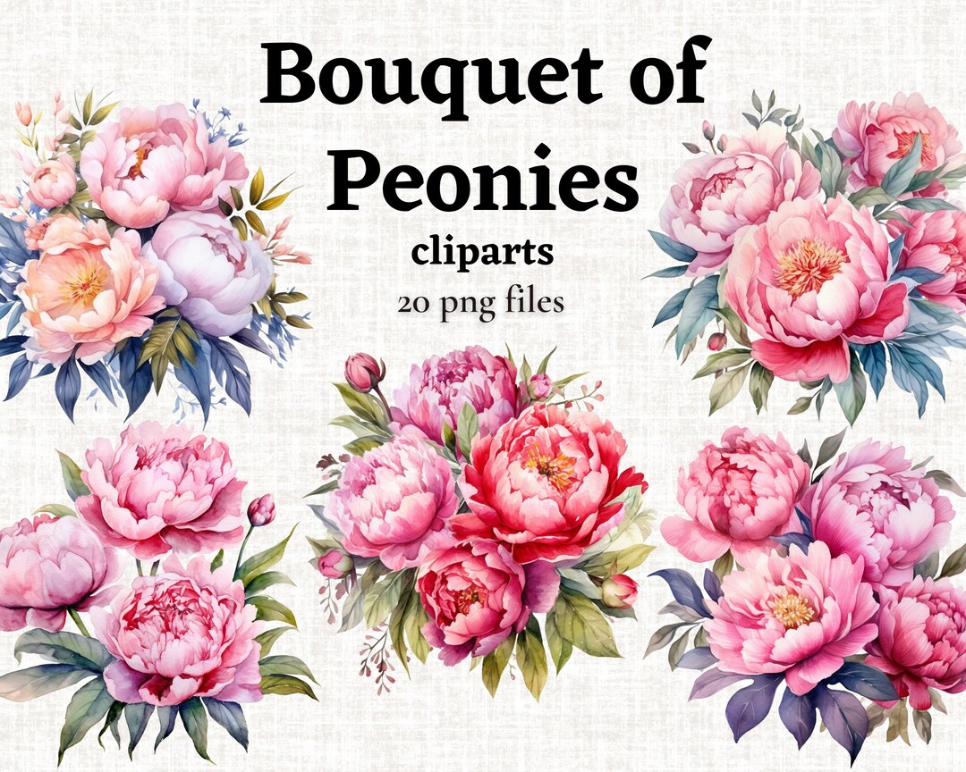 Pink Peonies Clipart, Watercolor Peonies Clipart Bundle, Bouquet of ...