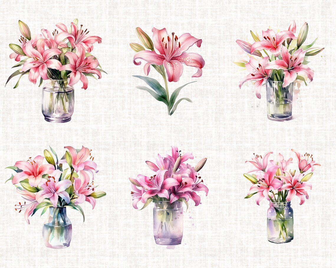 Pink Lily Clipart Watercolor Tiger Lily Clipart Bundle Pink - Etsy