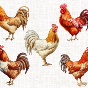 Chicken Clipart Bundle, Farm Animals PNG, Chick Graphics, Rooster ...