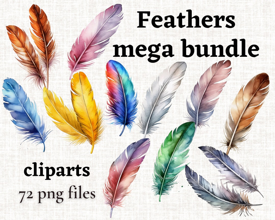 Watercolor Feathers Clipart MEGA Bundle, Colorful Feathers PNG, Boho ...
