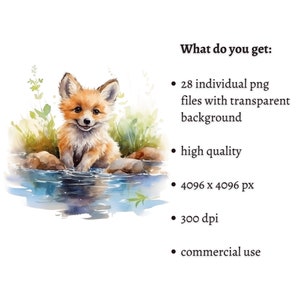 Watercolor Foxes Clipart Bundle Woodland Animals Graphics Forest Animal ...