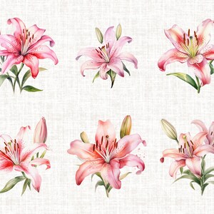 Pink Lily Clipart, Watercolor Tiger Lily Clipart Bundle, Pink Lilies ...