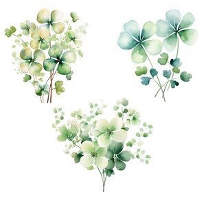 Watercolor Clover Clipart St. Patrick's Day PNG Bundle Saint Patricks ...