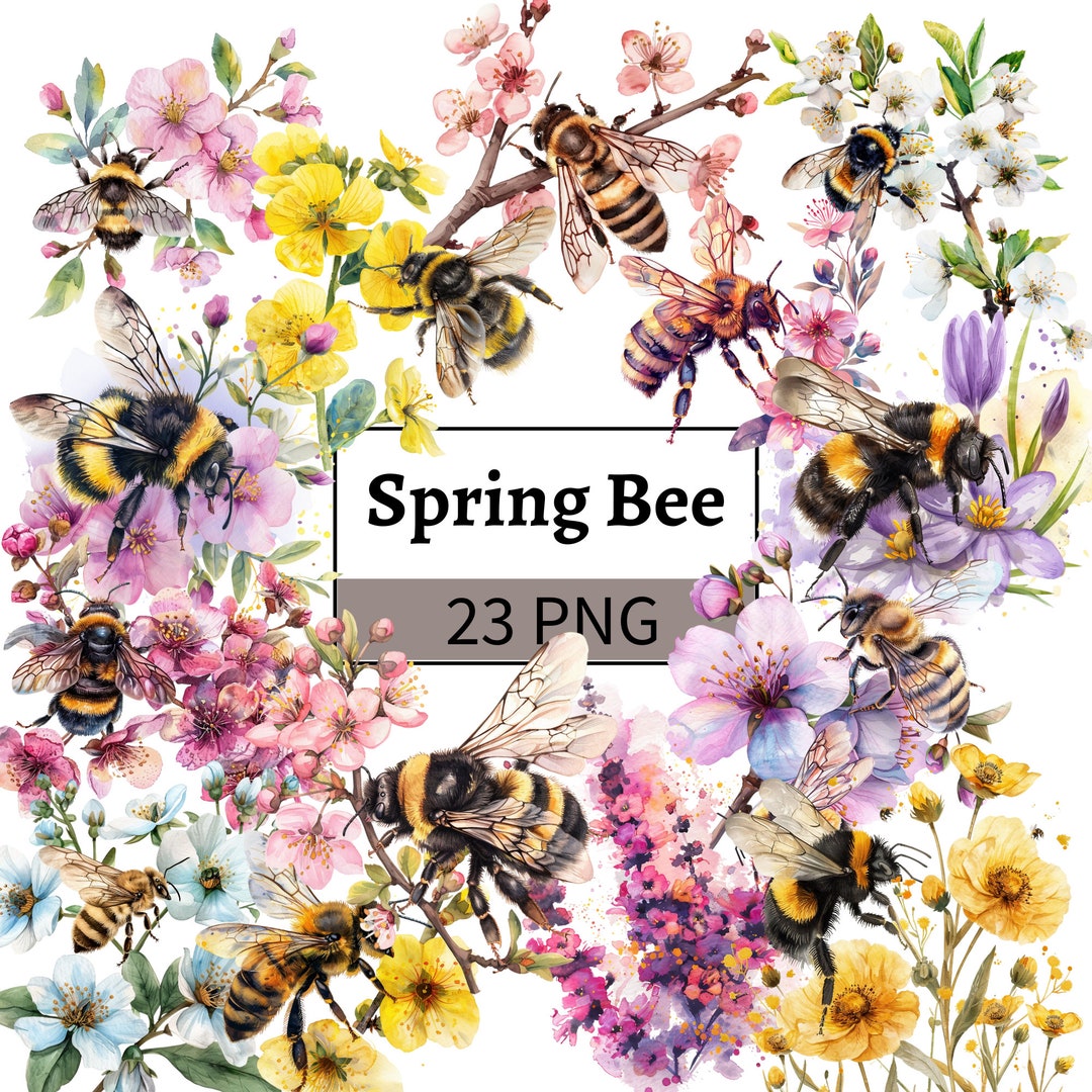 Spring Bee Clipart Bundle Watercolor Spring Flowers Illustration ...