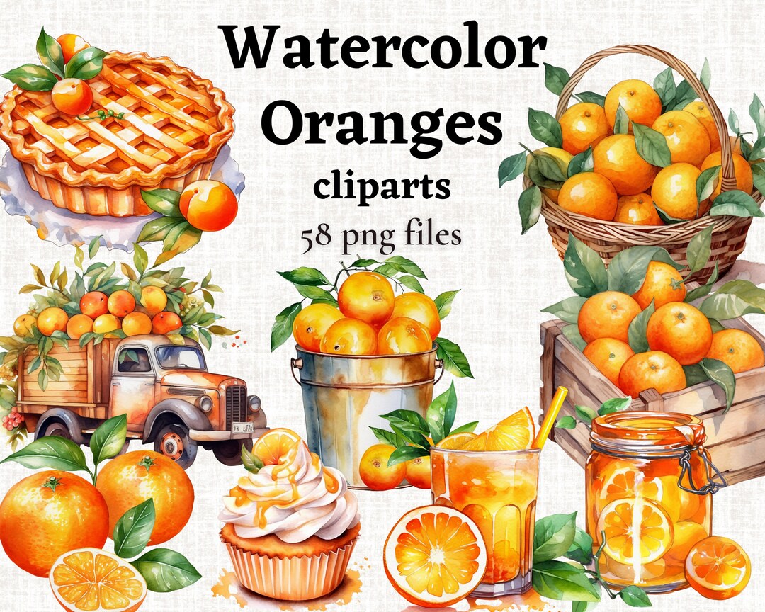 Watercolor Orange Clipart Bundle Orange-themed PNG Illustrations High ...