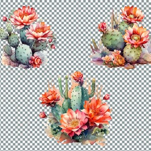 Cactus Clipart, Watercolor Cactus Clipart Bundle, Desert Cacti PNG ...