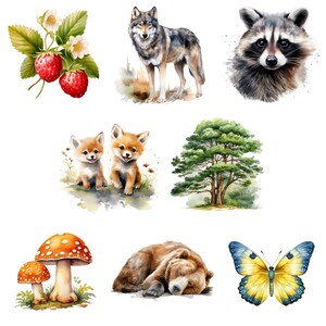 Woodland Animals Clipart Bundle Watercolor Forest Animal Clip Art ...