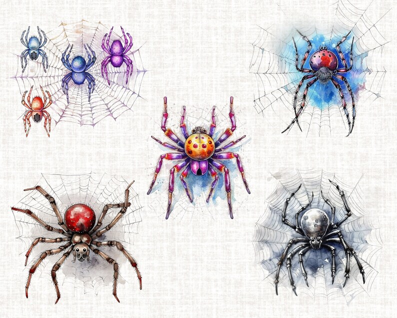 Spider Clipart Watercolor Spiders Bundle Cobweb Clipart - Etsy