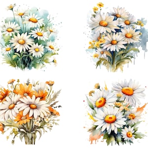Daisy Clipart Bundle, Watercolor Daisy PNG, White Flower Clipart ...