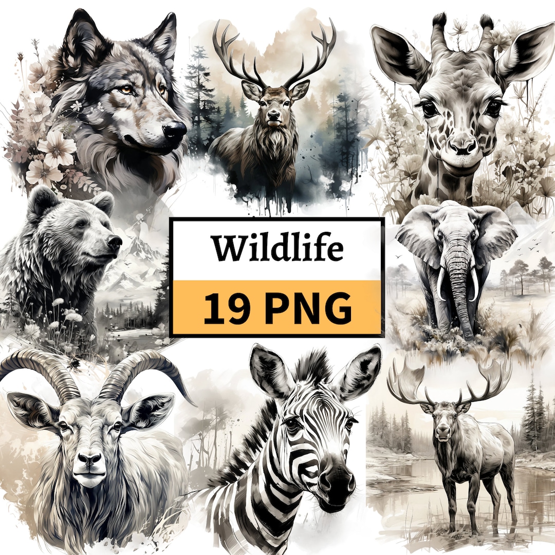 Watercolor Wildlife Animals Black and White Animals Clipart Bundle PNG ...