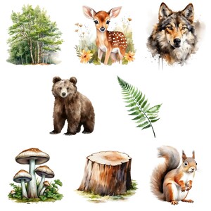 Woodland Animals Clipart Bundle Watercolor Forest Animal Clip Art ...