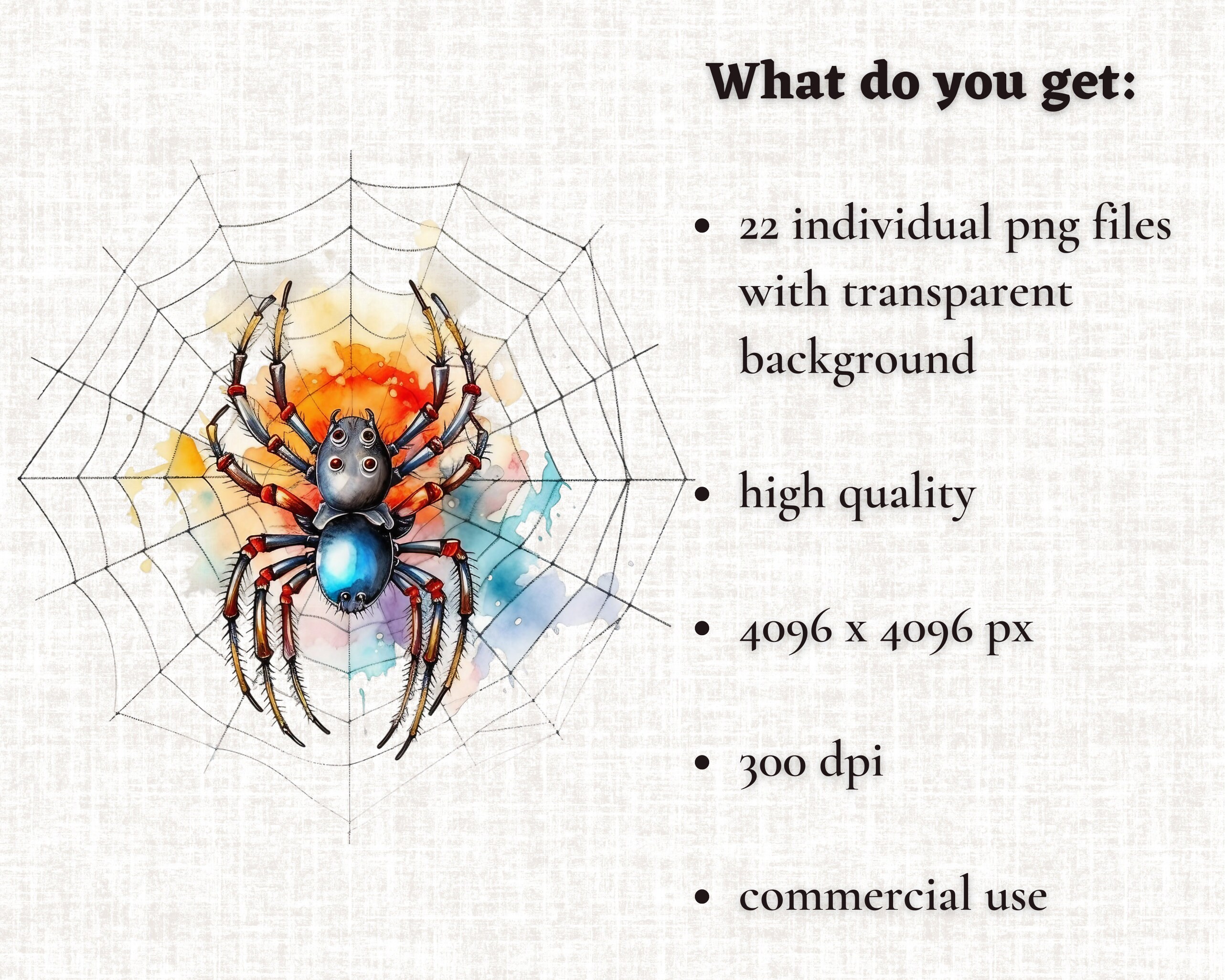 Spider Clipart Watercolor Spiders Bundle Cobweb Clipart - Etsy