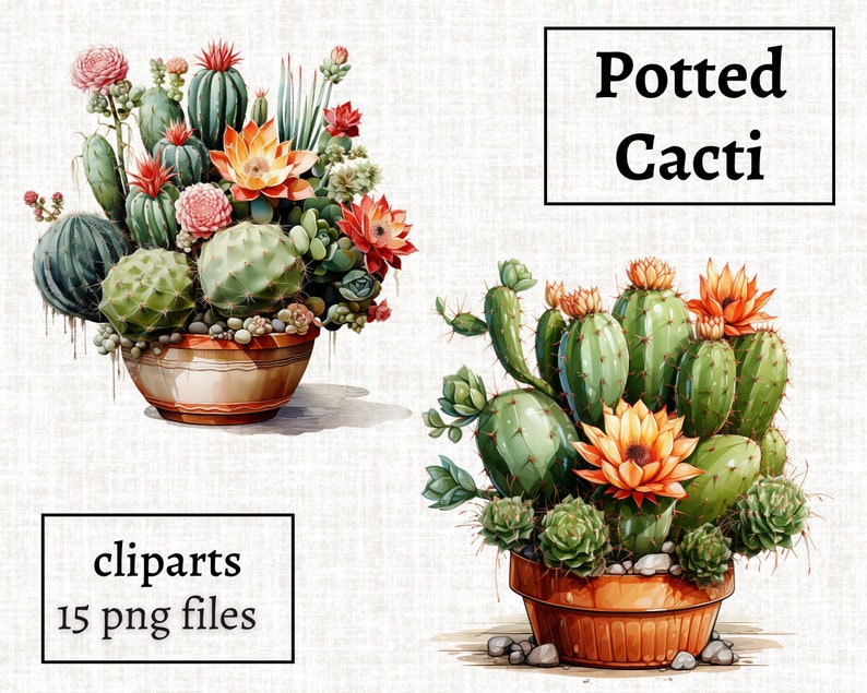 Potted Cacti Clipart Bundle Watercolor Cactus Clipart Cactus - Etsy
