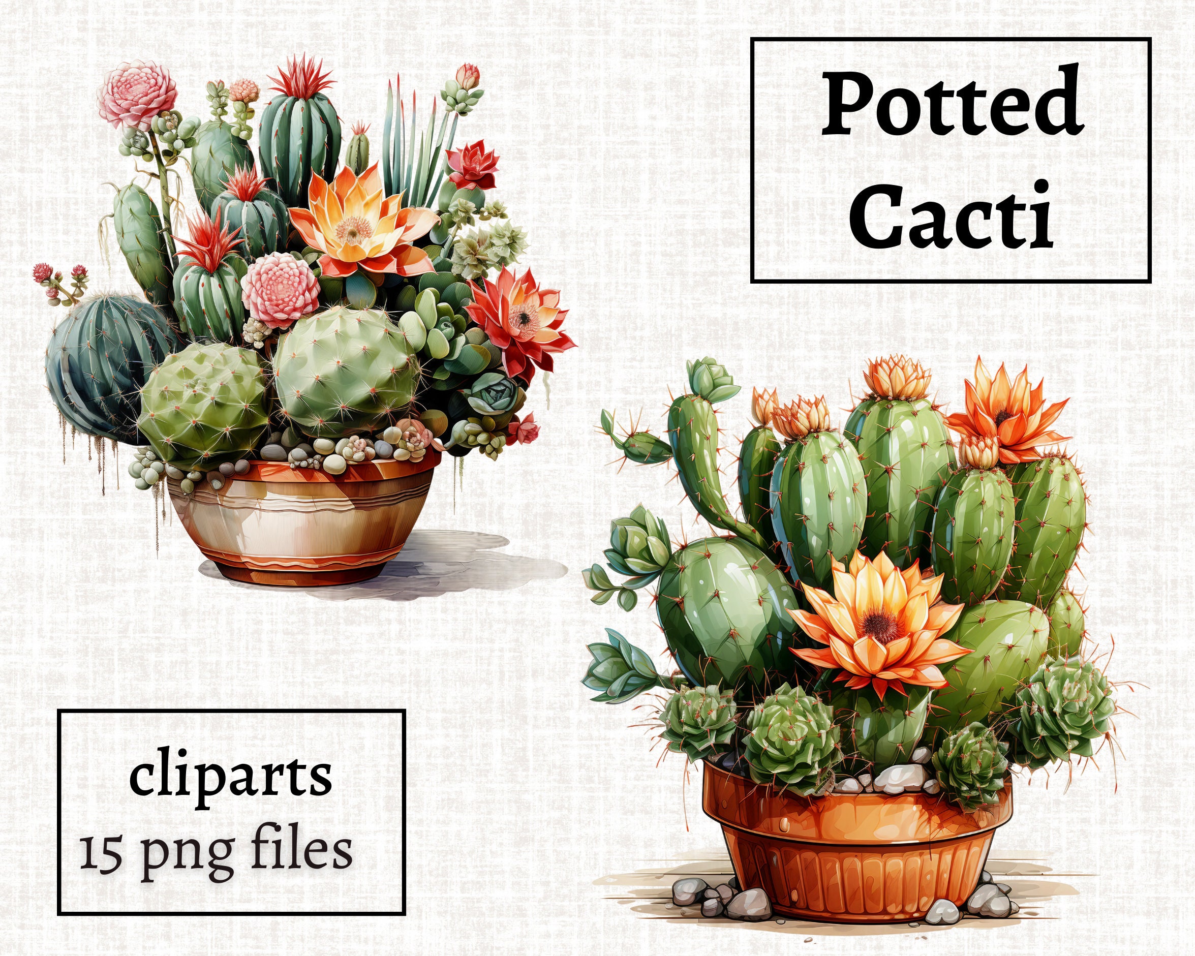 Potted Cacti Clipart Bundle Watercolor Cactus Clipart Cactus - Etsy