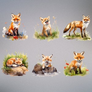 Watercolor Foxes Clipart Bundle Woodland Animals Graphics Forest Animal ...