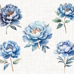Dusty Blue Peonies Clipart, Dusty Blue Flowers PNG, Watercolor Blue ...