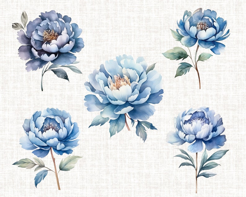Dusty Blue Peonies Clipart Dusty Blue Flowers PNG Watercolor - Etsy