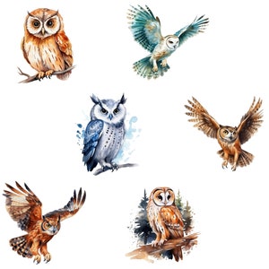 Watercolor Owl Clipart Bundle Woodland Animals Graphics Forest Animal ...