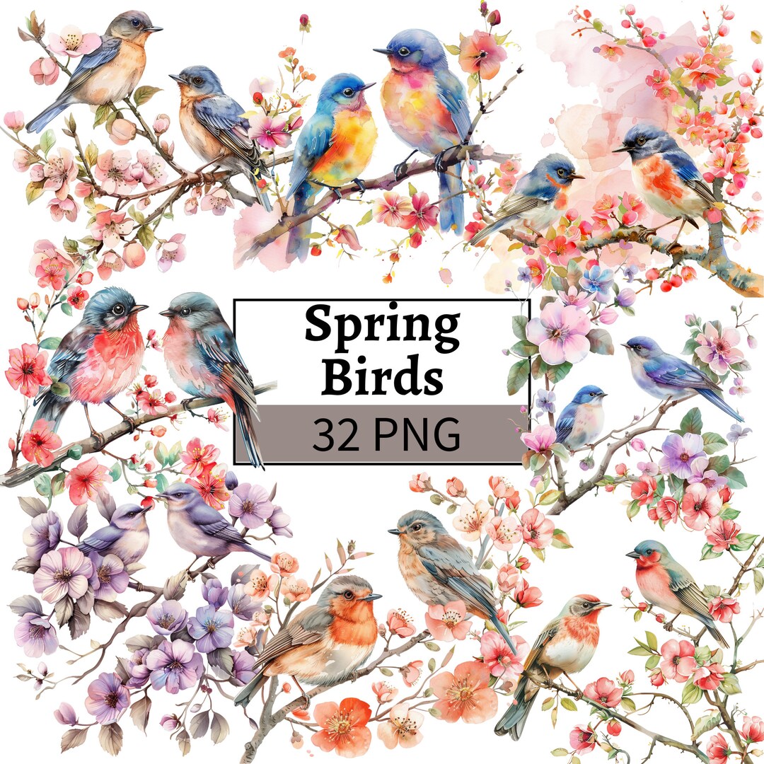 Spring Birds Clipart Bundle Watercolor Birds Flowers Graphics Spring ...