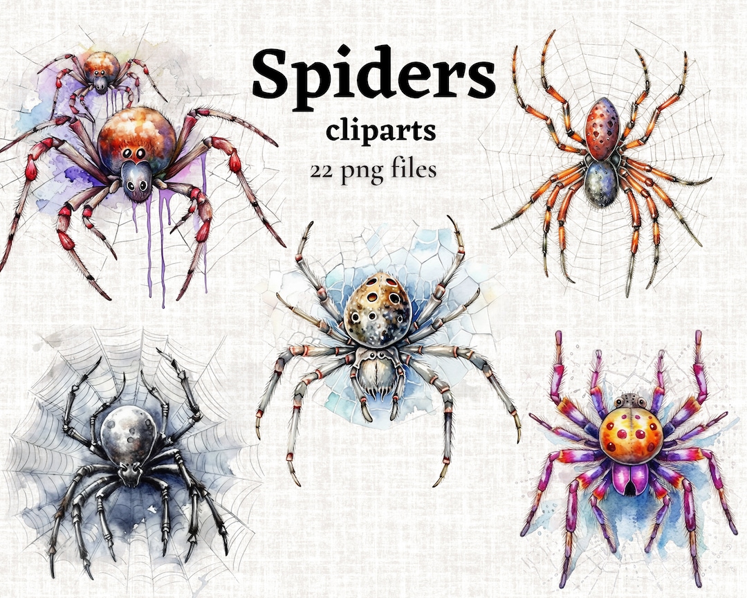 Spider Clipart, Watercolor Spiders Bundle, Cobweb Clipart, Spider's Web ...