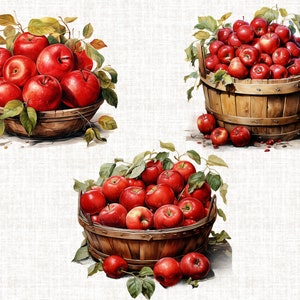 Apple Basket Clipart Bundle, Basket With Apples PNG, Autumn Harvest ...