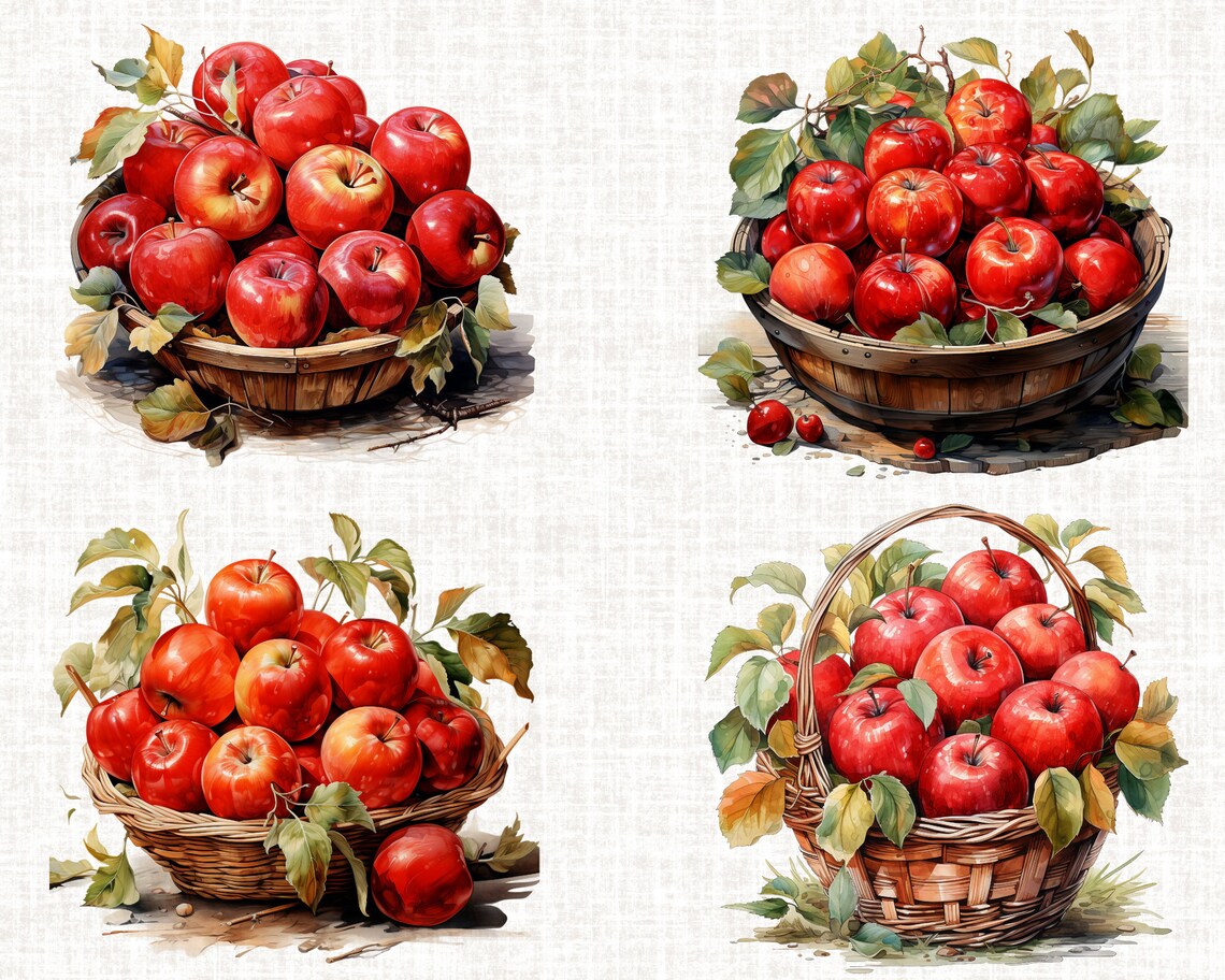 Apple Basket Clipart Bundle Basket With Apples PNG Autumn - Etsy