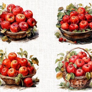 Apple Basket Clipart Bundle, Basket With Apples PNG, Autumn Harvest ...