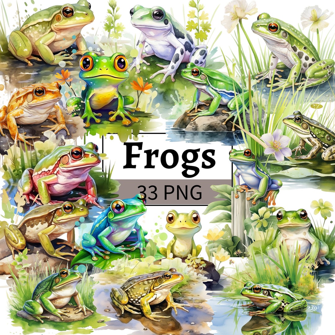Watercolor Frogs Clipart Bundle Woodland Animals Graphics Forest Animal ...