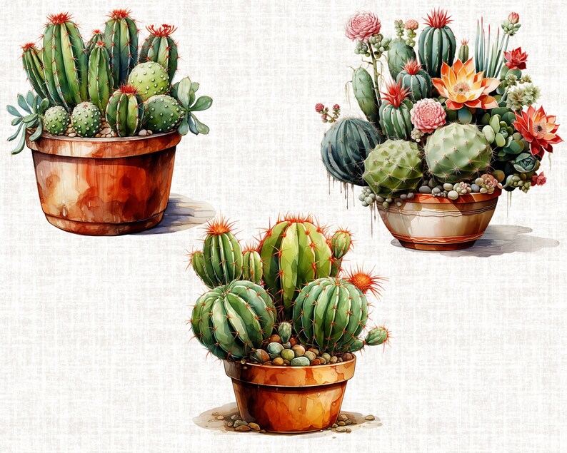Potted Cacti Clipart Bundle Watercolor Cactus Clipart Cactus - Etsy