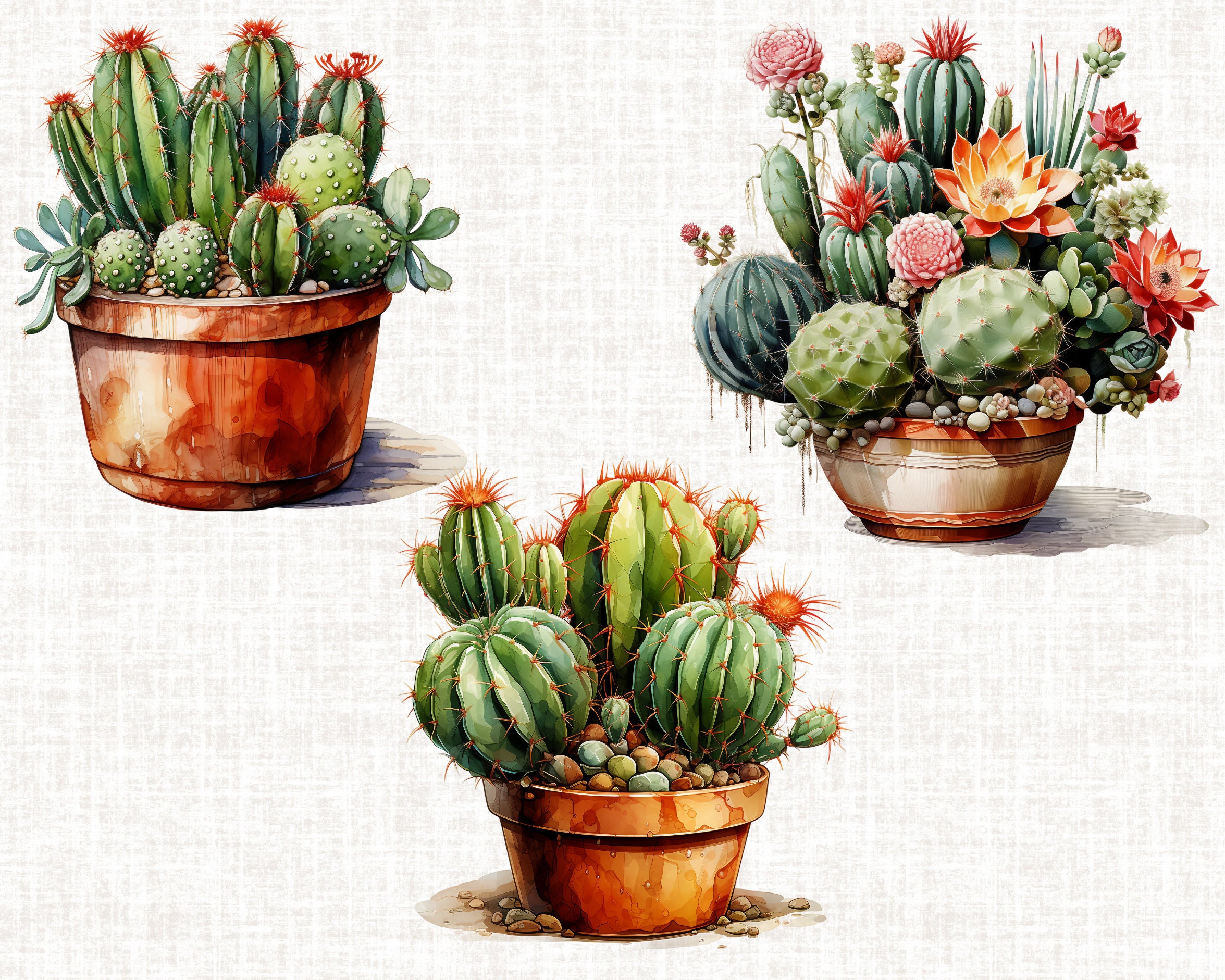 Potted Cacti Clipart Bundle Watercolor Cactus Clipart Cactus - Etsy