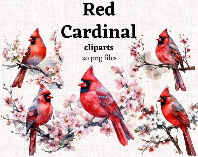 25 Red Cardinal and Flowers Clipart Bundle, Digital Paper Clipart ...