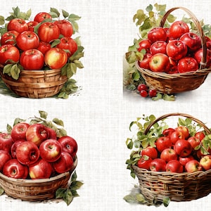 Apple Basket Clipart Bundle, Basket With Apples PNG, Autumn Harvest ...