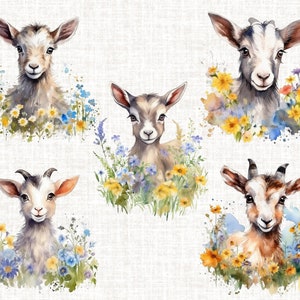 Baby Goat Clipart, Watercolor Floral Goats in the Meadow, Spring Baby ...