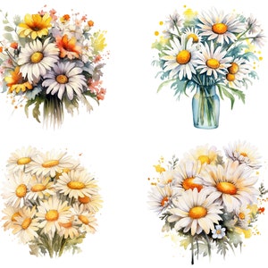 Daisy Clipart Bundle, Watercolor Daisy PNG, White Flower Clipart ...