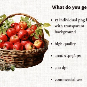 Apple Basket Clipart Bundle, Basket With Apples PNG, Autumn Harvest ...