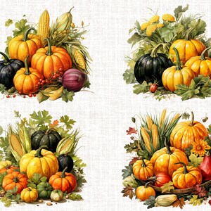 Autumn Harvest Clipart, Fall Vegetables Clipart, Autumn Veggies ...