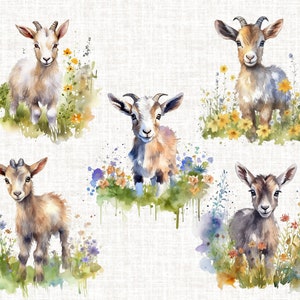 Baby Goat Clipart, Watercolor Floral Goats in the Meadow, Spring Baby ...